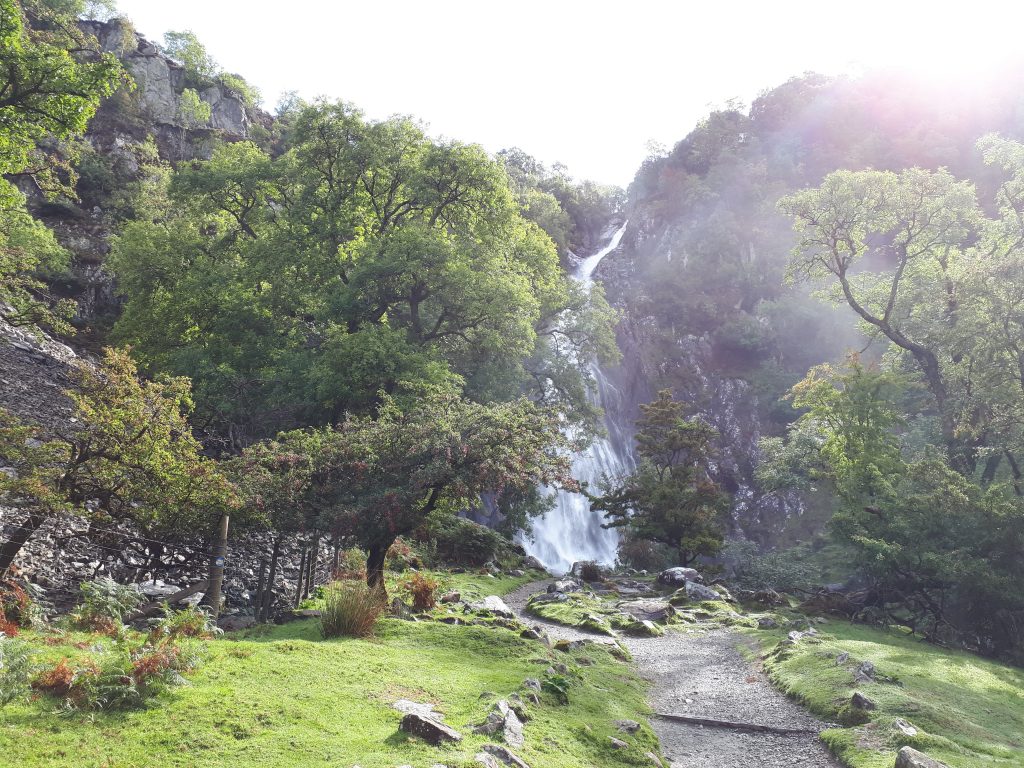 Turnerstackles guide to visiting the Angel Bay seals in North Wales.