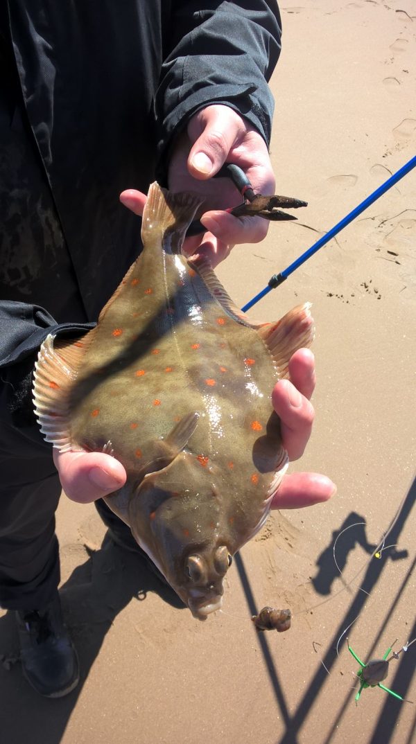 River Mersey fish species - TurnersTackle