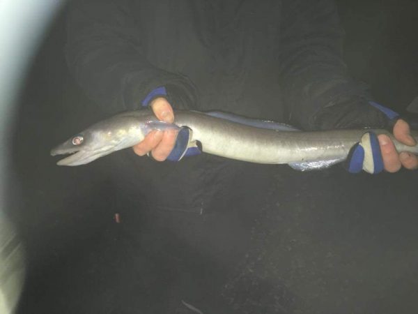Holyhead Breakwater Sea Fishing by turnerstackle, check it out now