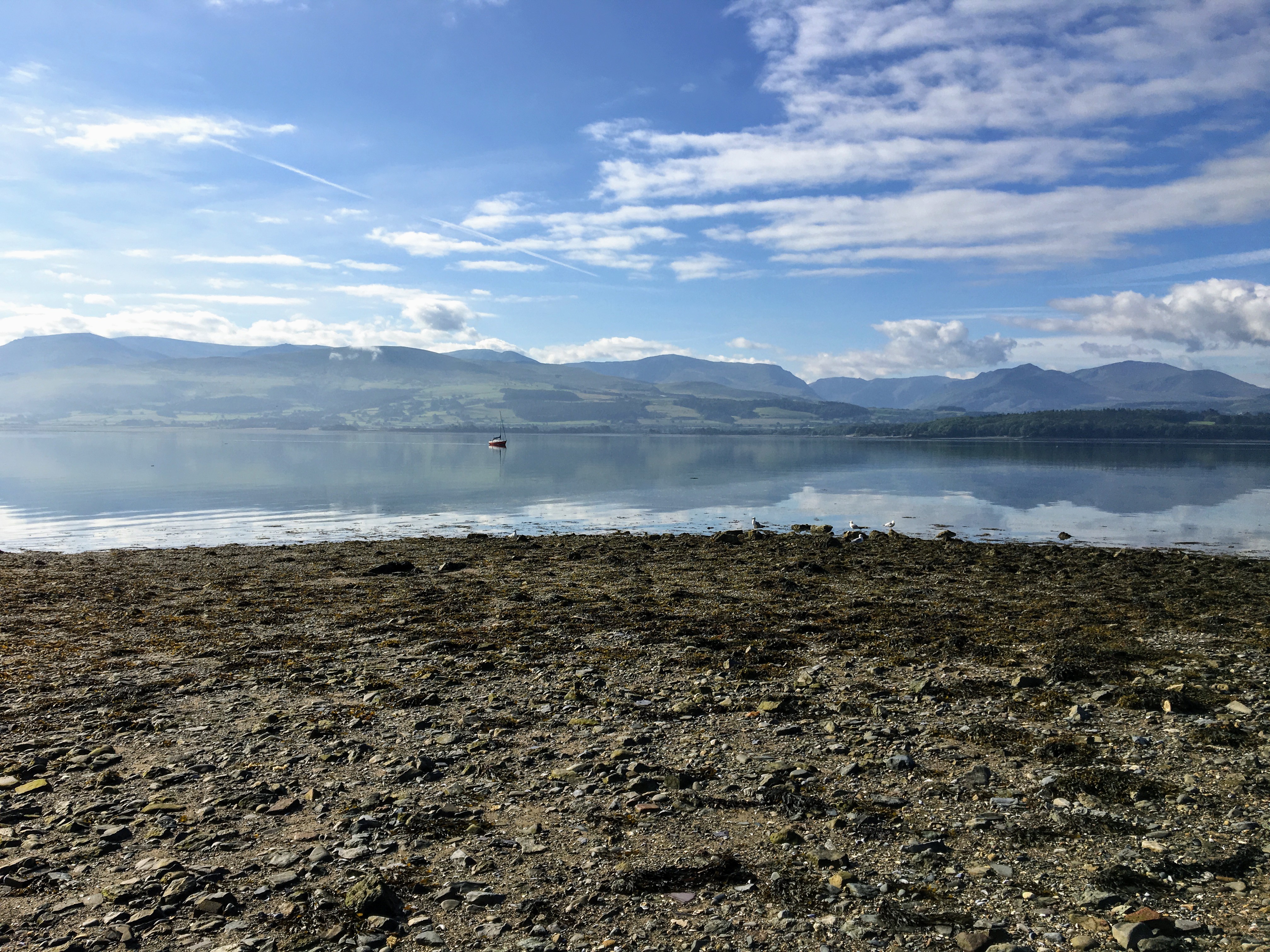 Pwllheli Harbour - TurnersTackle