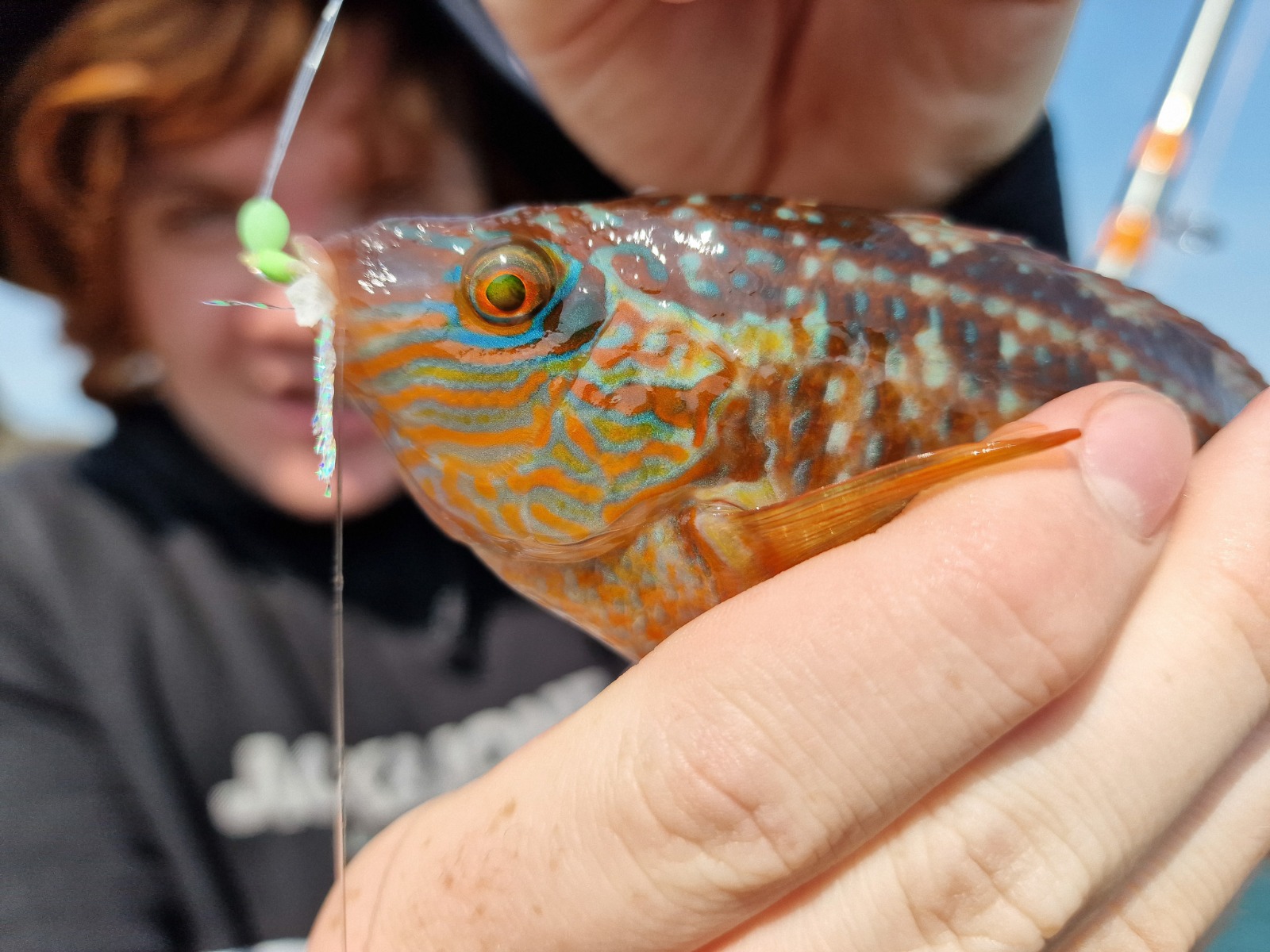 Micro Marvels: A Mini Guide to Catching Mini Species Along UK Shores ...
